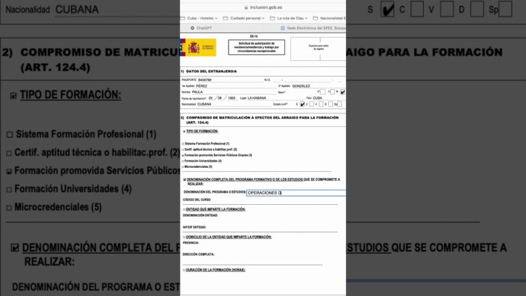 Modelo Declaración Responsable Junta de Andalucía: Guía Completa 2024 - Blog sobre Finanzas y ...