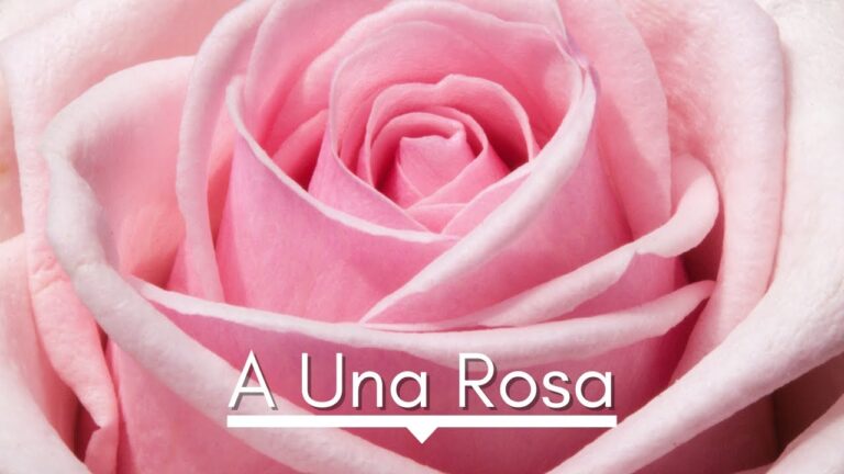 Poemas de Sor Juana Inés de la Cruz: La Belleza de una Rosa en Verso ...